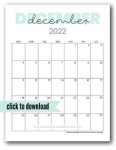 Cute 2022 Printable Calendar - 12 Free Printables to Get Organized