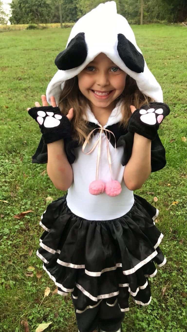 23 Perfect Panda Gifts For Girls Obsessed with Pandas - The Incremental ...