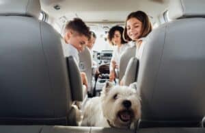 7 Super Easy Tips to Keep Your Car Clean With Kids - The Incremental Mama