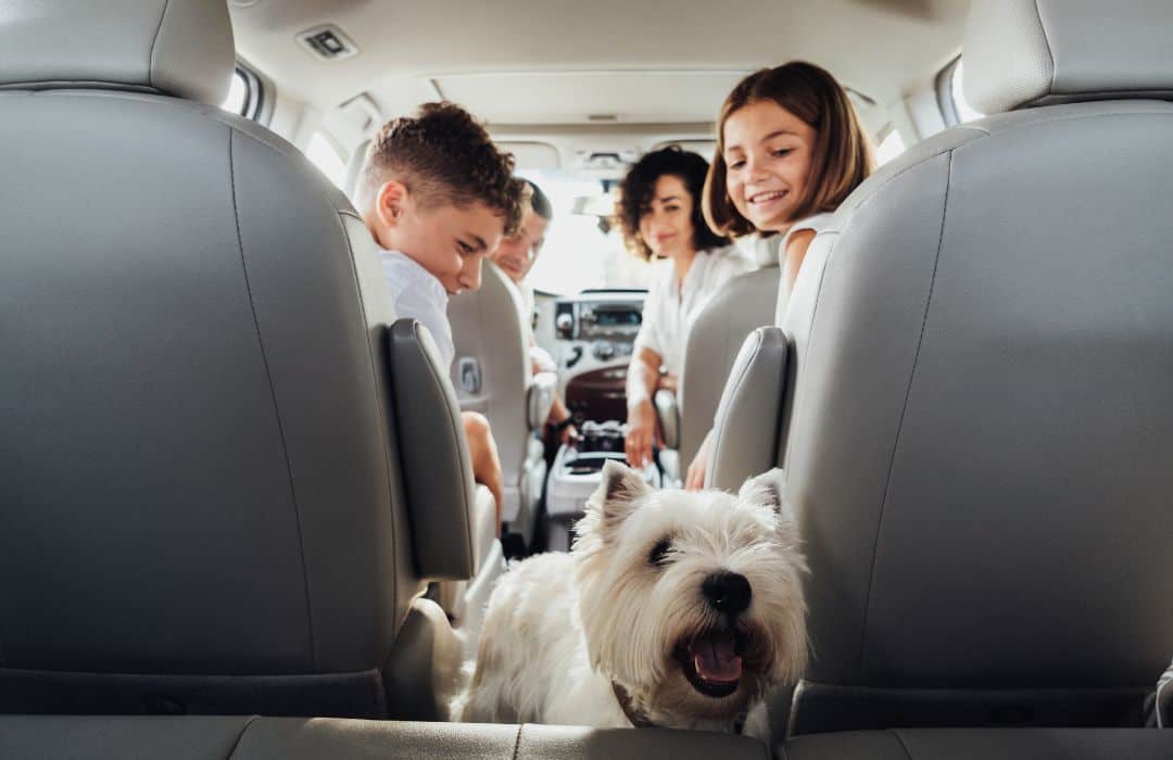 7 Super Easy Tips to Keep Your Car Clean With Kids - The Incremental Mama